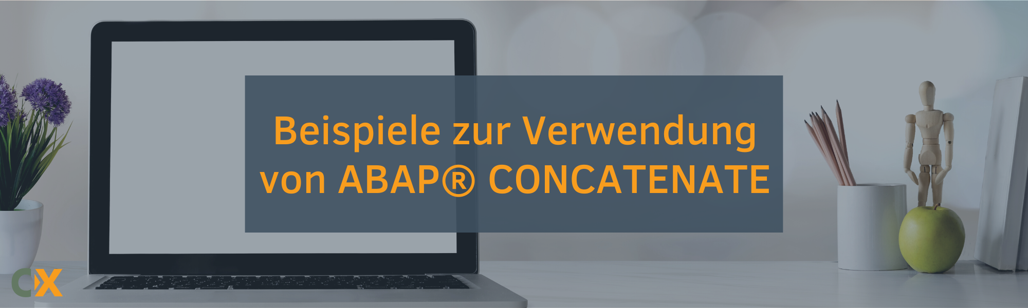 Beispiele zur Verwendung von ABAP® CONCATENATE - Cadaxo GmbH