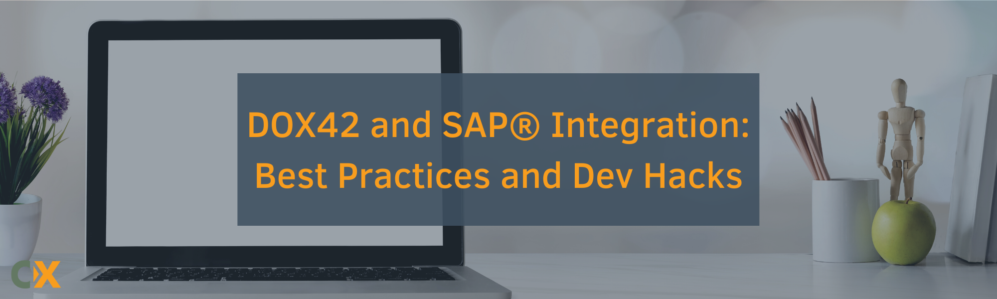 DOX42 and SAP® Integration : Best Practices and Dev Hacks - Cadaxo GmbH