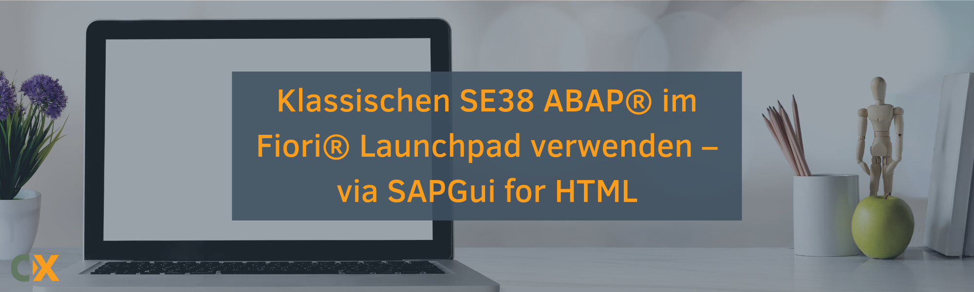 Klassischen SE38 ABAP® im Fiori® Launchpad verwenden - via SAPGui for ...