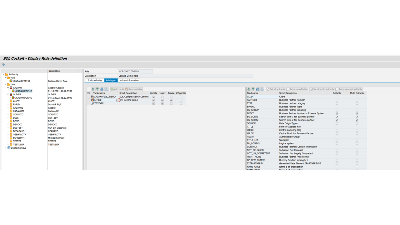 SQL Cockpit for SAP® Systems - Der leistungsfähige SQL Editor