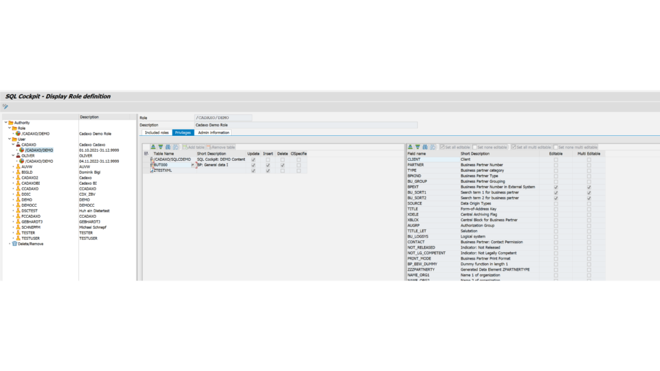 Sql Cockpit For Sap® Systems Der Leistungsfähige Sql Editor 6139